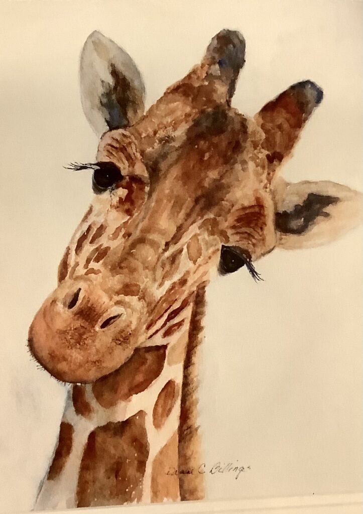 Visual Artists at ARTISTS LEAGUE of the SANDHILLS | Moore County